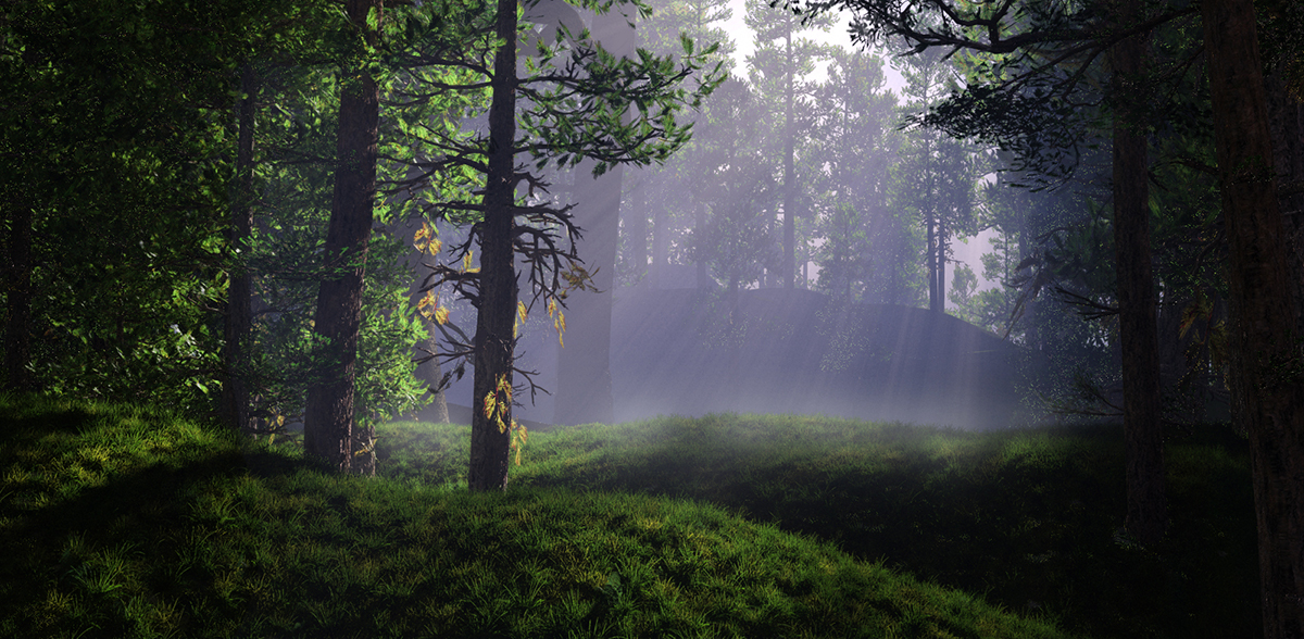 Forest Rays - MaxQ3D